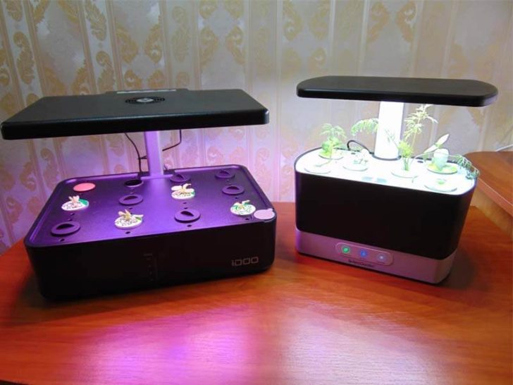 iDOO 12-pods vs AeroGarden Harvest: Which Hydroponics is Better ...